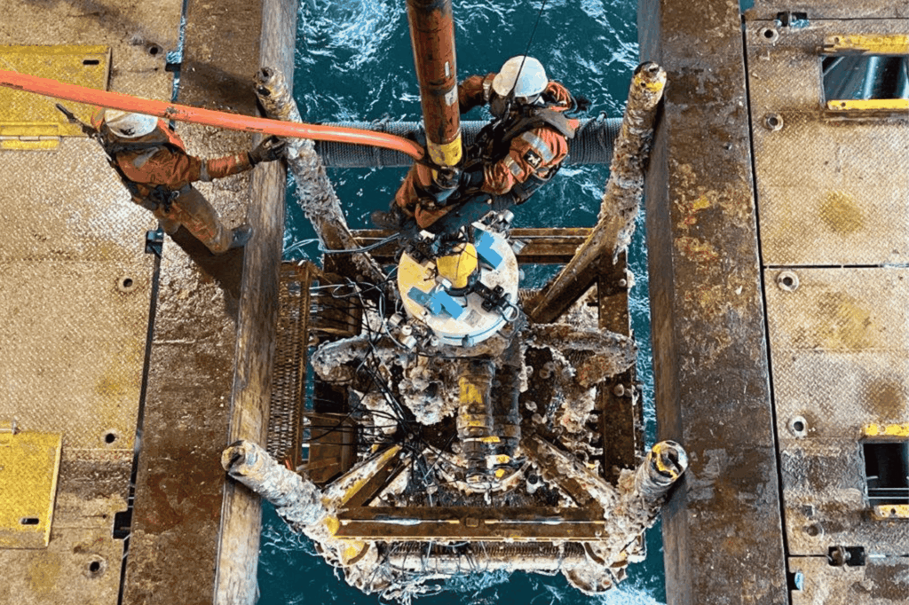 Well-Safe Solutions: Well life cycle management specialists
